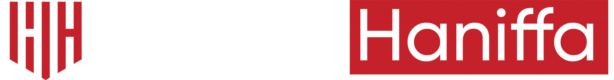 Hamza Haniffa - Social Media Strategist